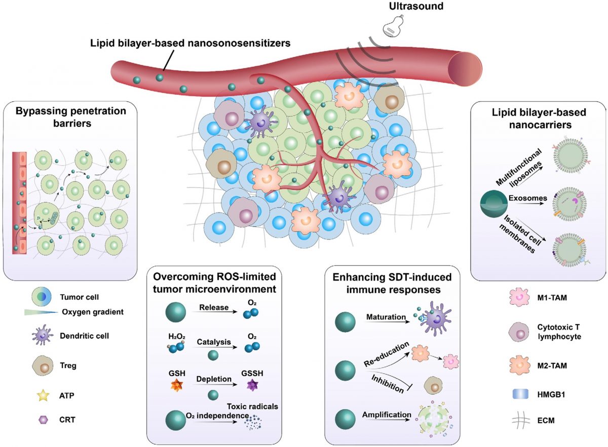 Publication – Dai's lab