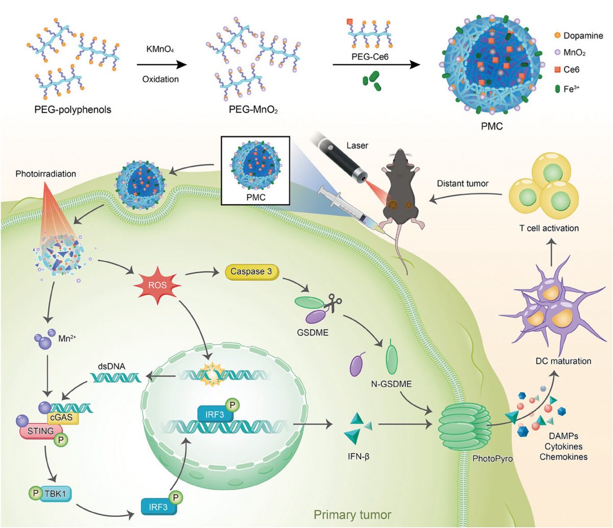 Publication – Dai's lab