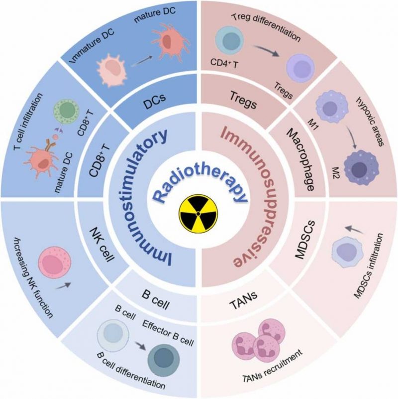 Publication – Dai's lab