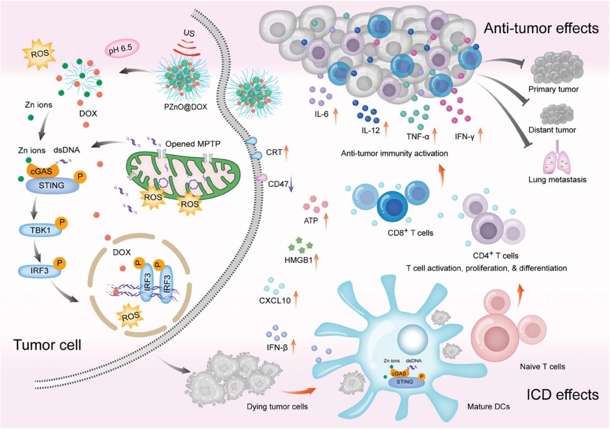 Publication – Dai's lab