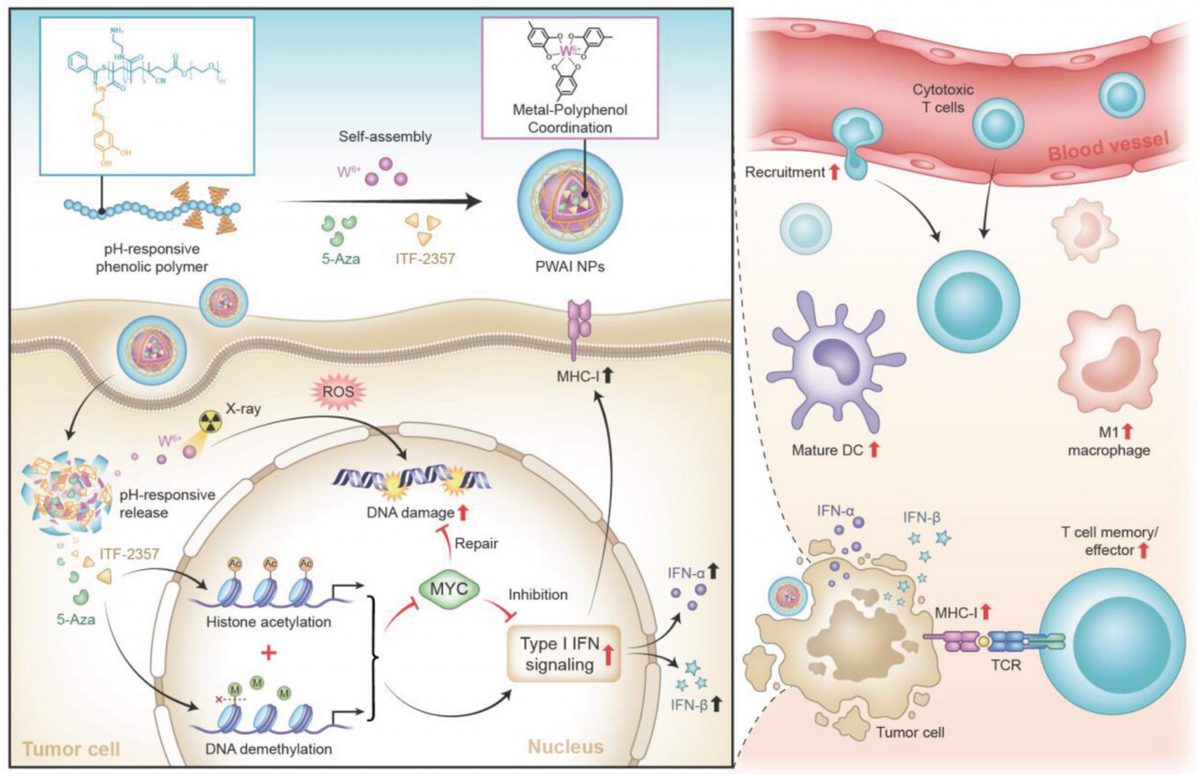 Publication – Dai's lab