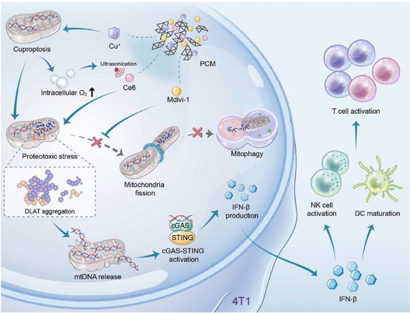 Publication – Dai's lab
