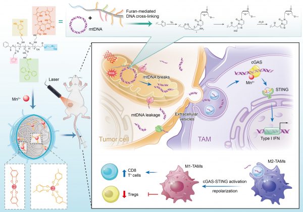 Dai's lab – University of Macau