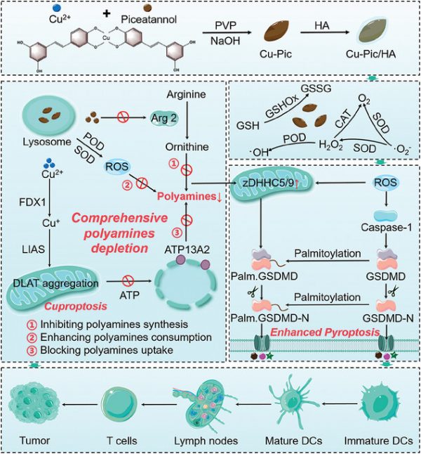 Publication – Dai's lab