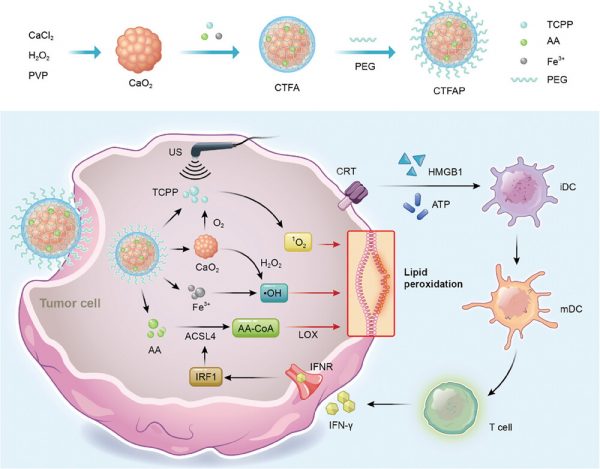 Publication – Dai's lab